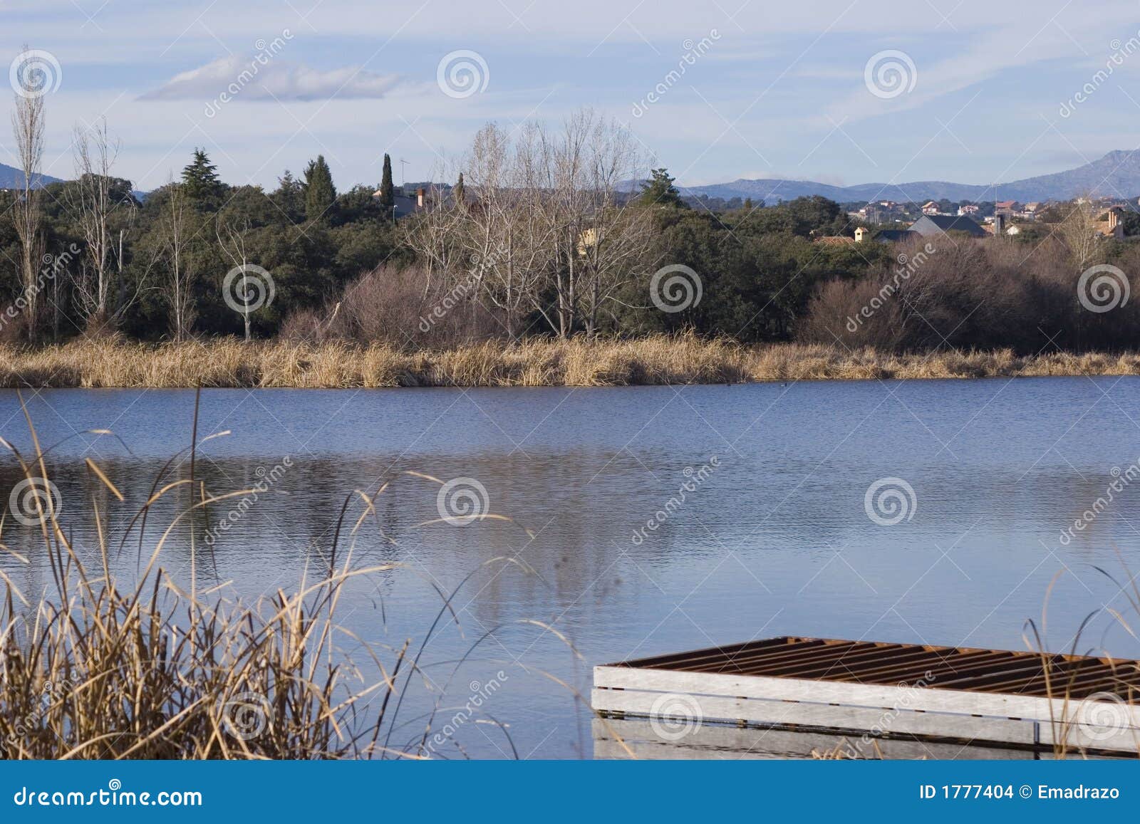 Country pond with dock stock photo. Image of calm, natural - 1777404