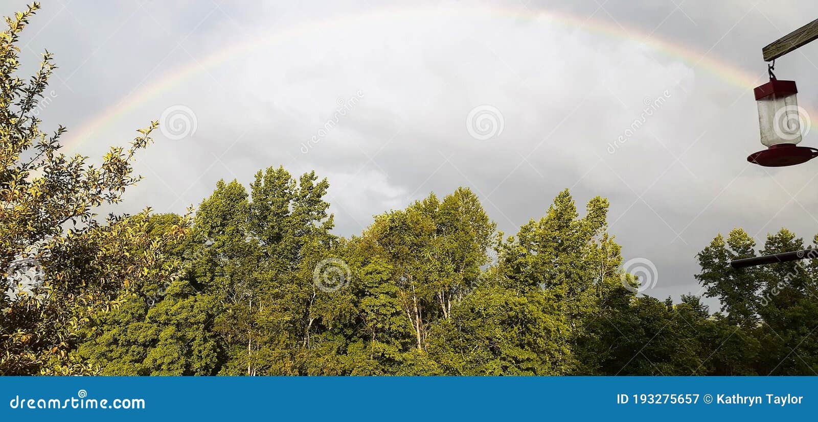 Country Rainbow on Noah Reeves Stock Image - Image of grass, plant ...