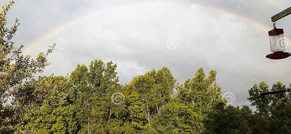 Country Rainbow on Noah Reeves Stock Image - Image of grass, plant ...