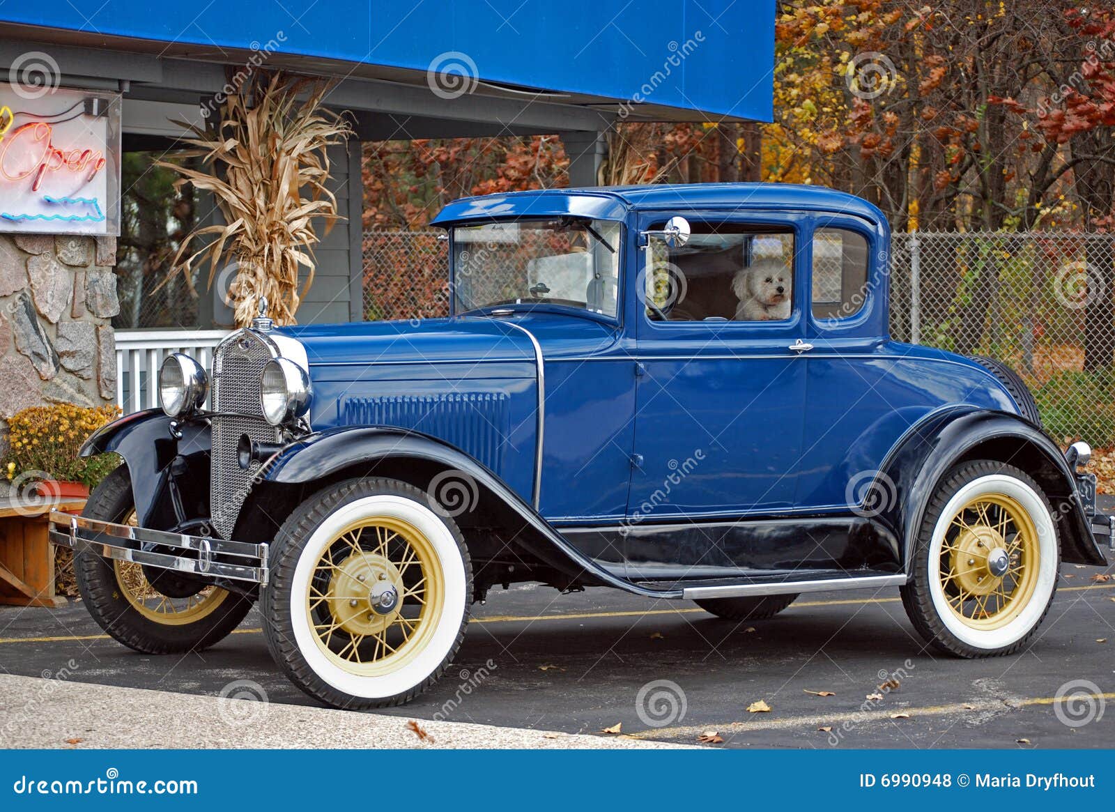 Fluff Collector Stock Photos - Free & Royalty-Free Stock Photos from ...