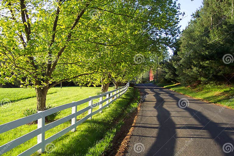 Country Road stock image. Image of morning, country, green - 8413