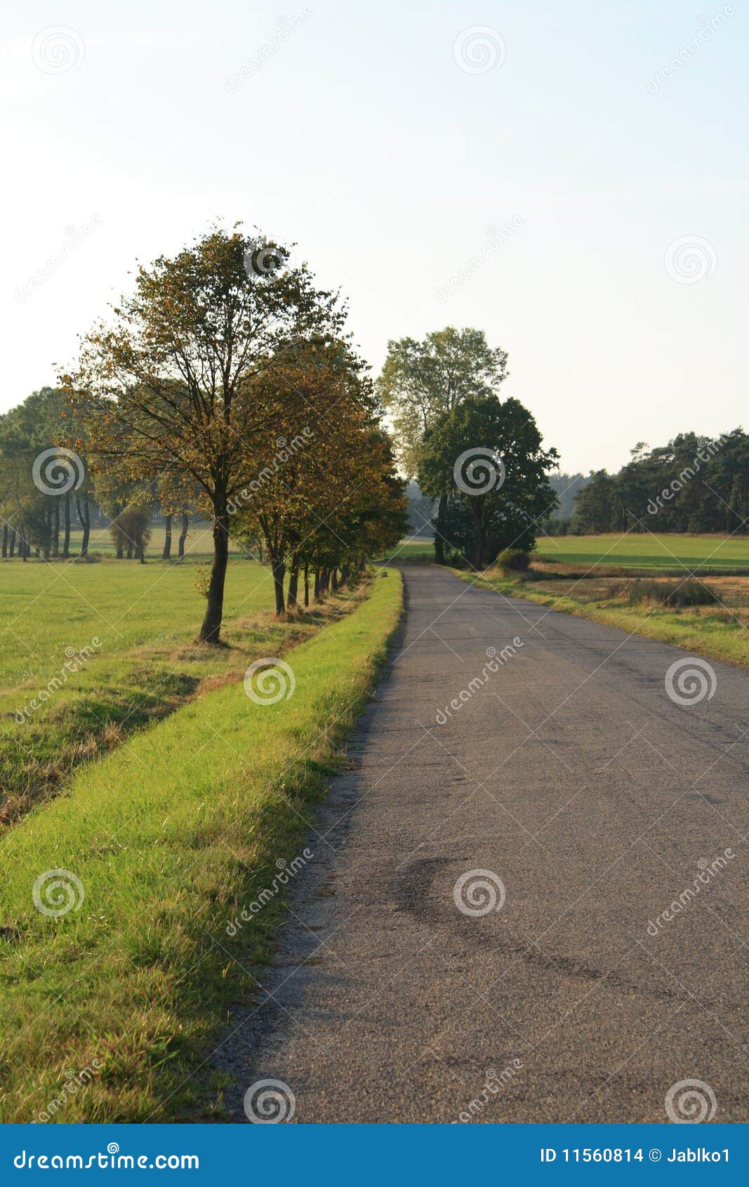 Country road stock photo. Image of scene, road, meadow - 11560814