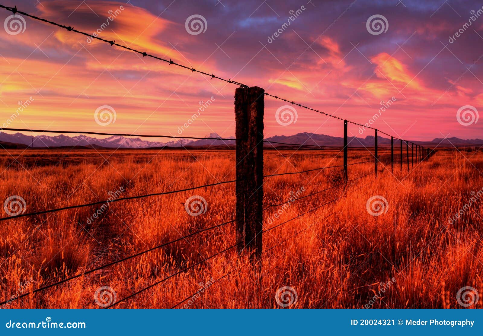 Country road stock image. Image of nature, highway, rural - 20024321