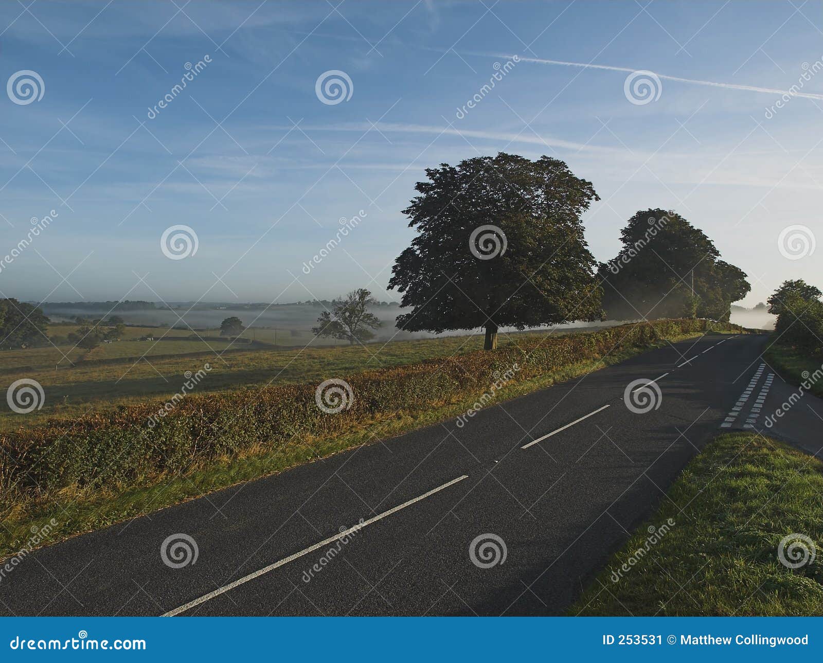 Country Road stock image. Image of nature, line, field - 253531