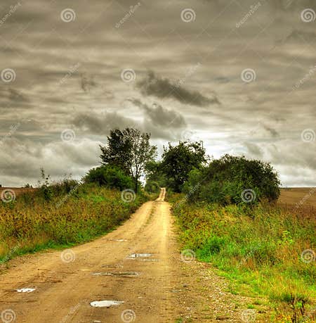 Country road stock photo. Image of leading, scenic, lead - 2557360