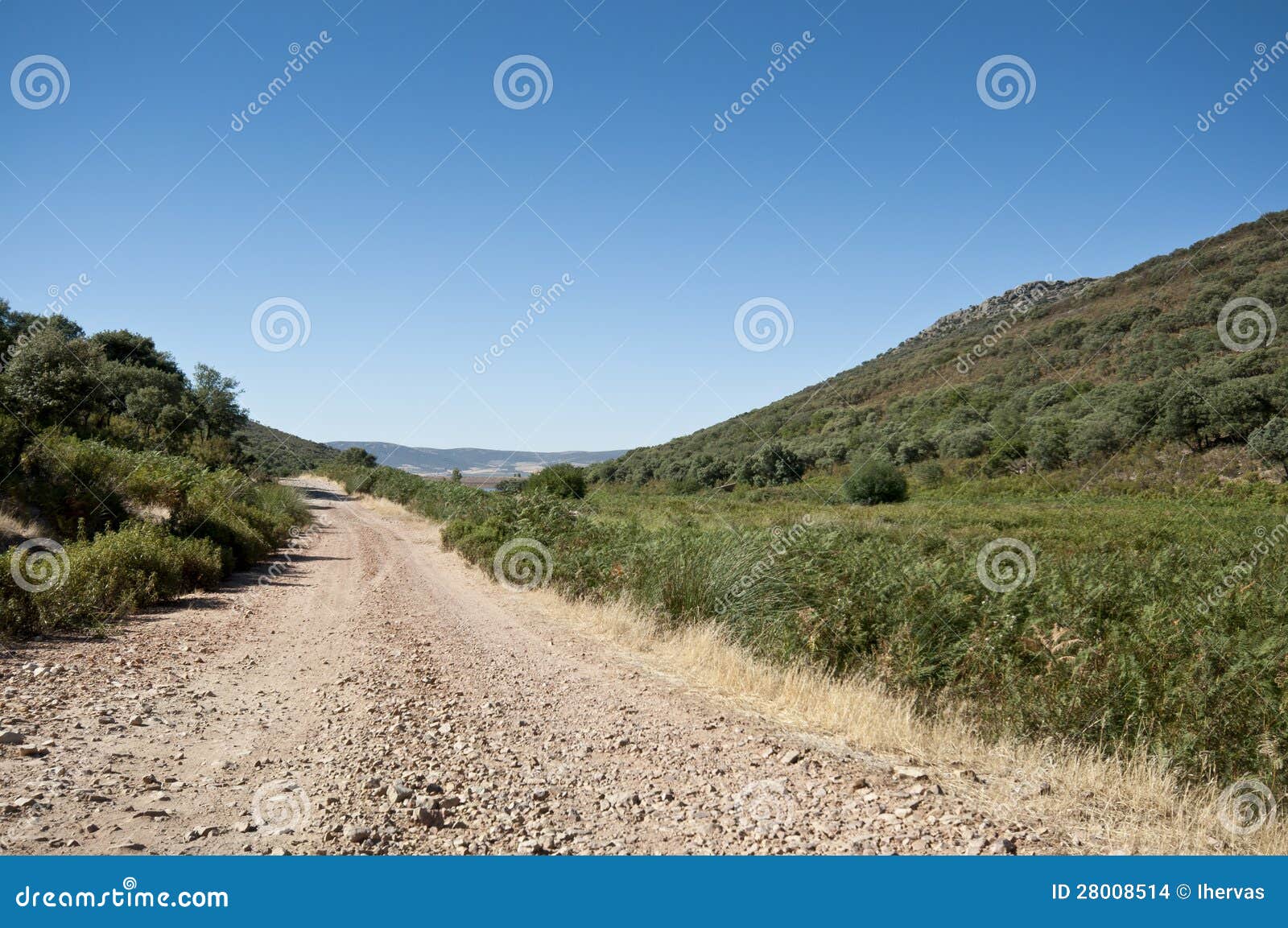 Country road stock photo. Image of nature, grove, range - 28008514