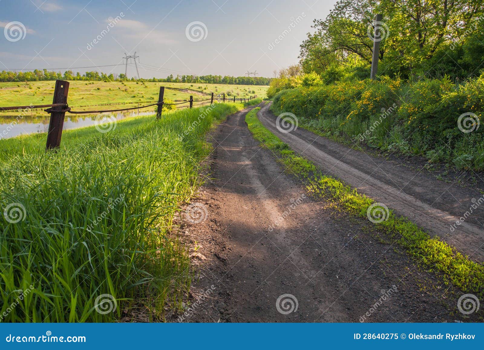 Country road stock image. Image of forest, road, landscape - 28640275