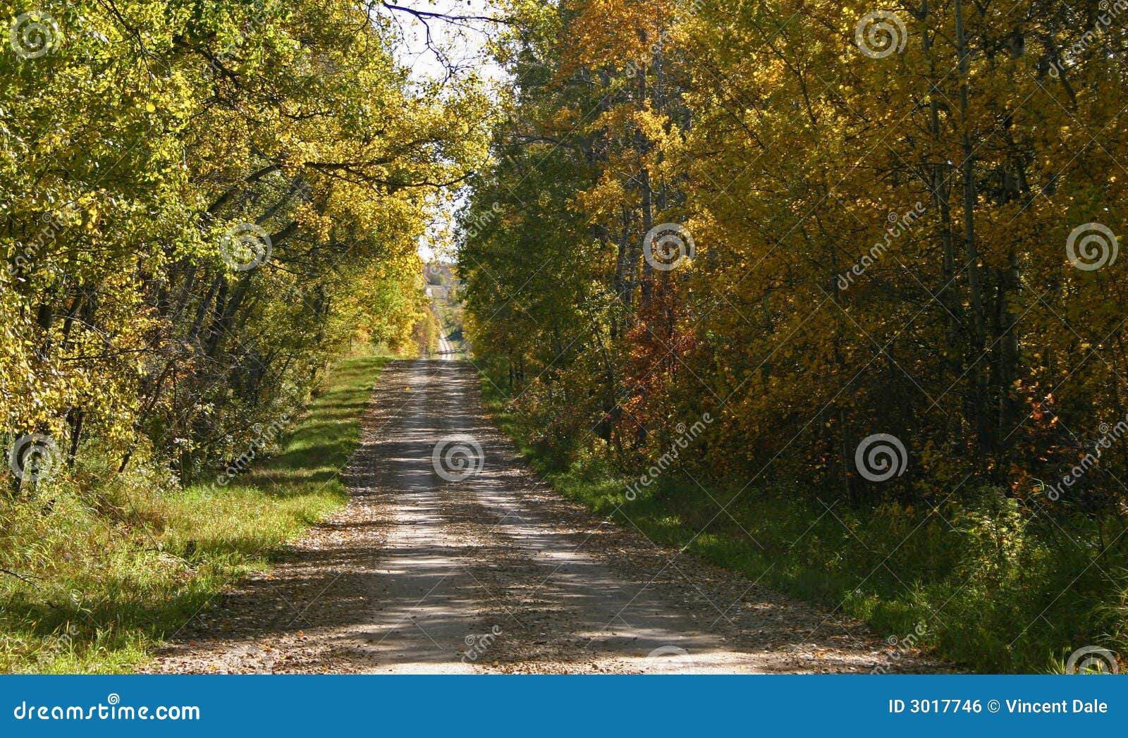 Country Road Picture. Image: 3017746
