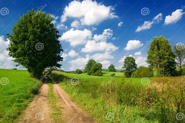 Country road. stock photo. Image of colourful, landscape - 3984938