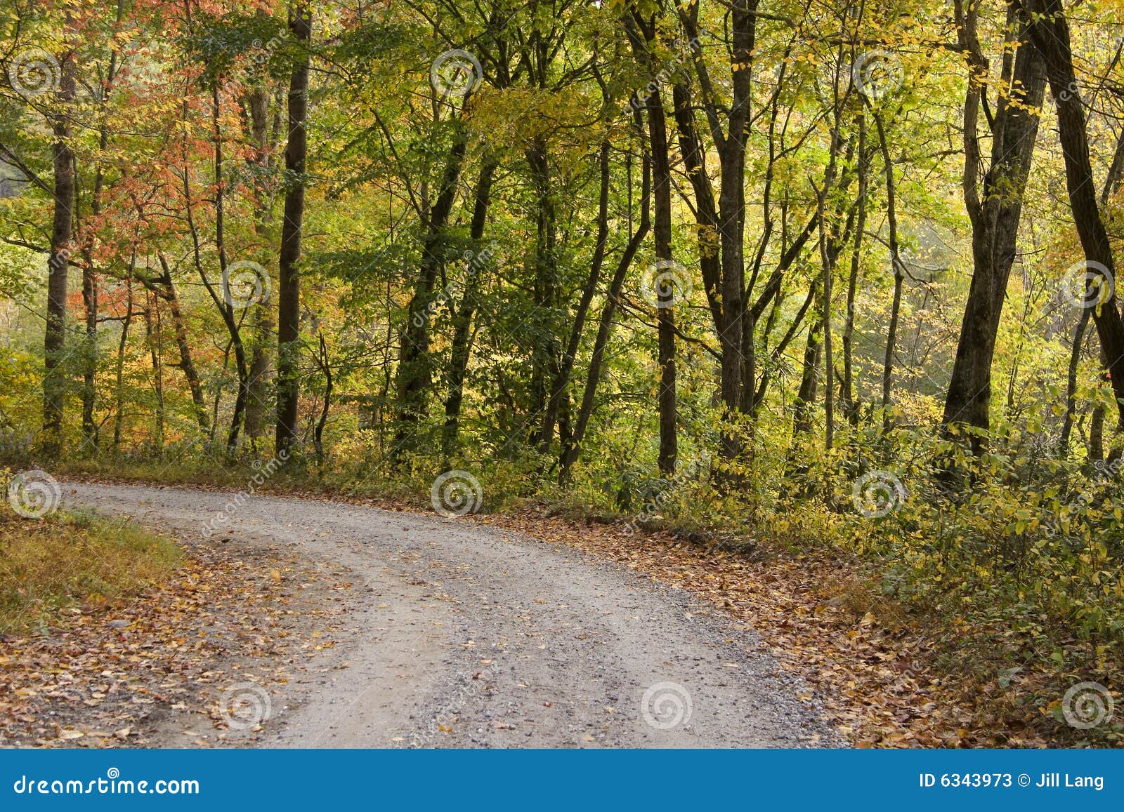 Country Road stock image. Image of countryside, colors - 6343973
