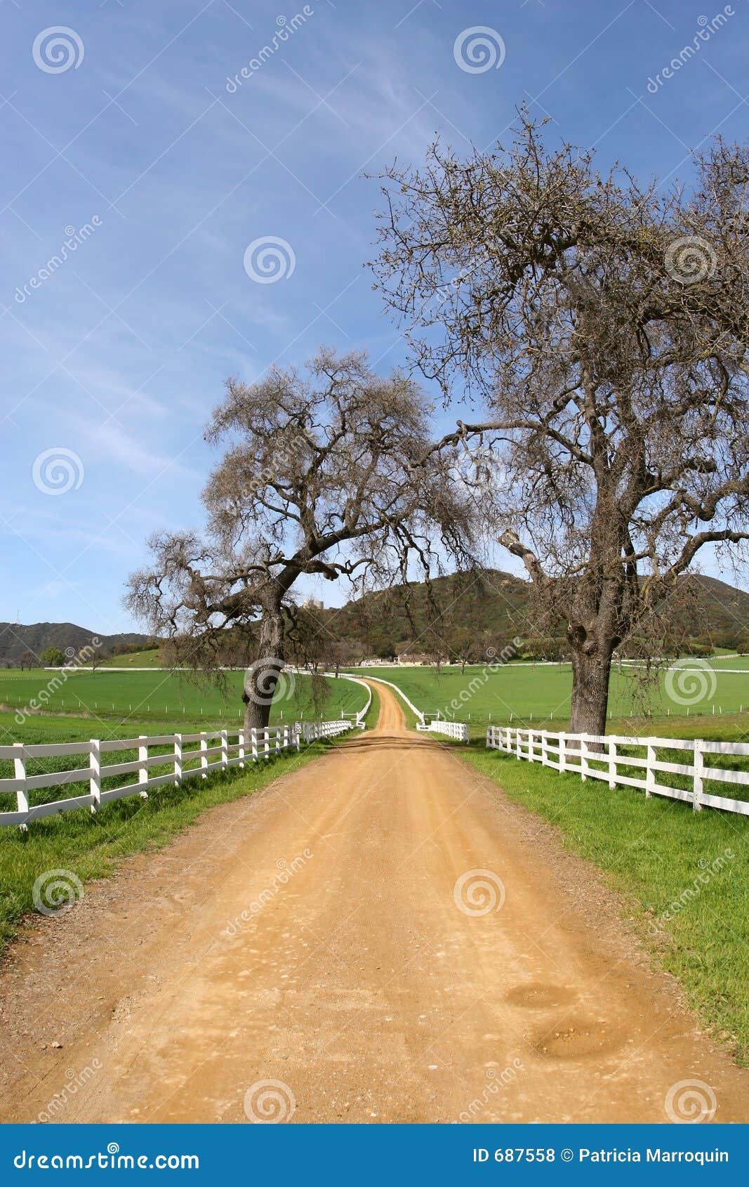 Country Road stock photo. Image of street, country, equine - 687558