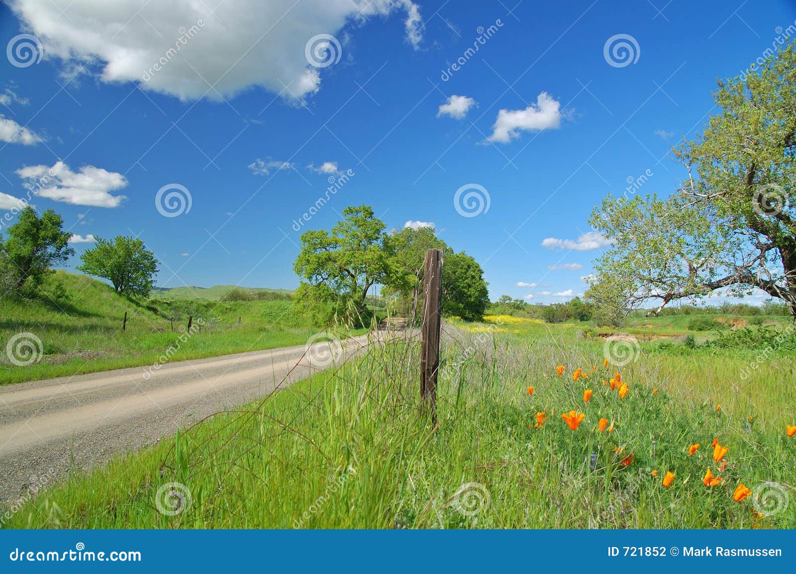 Country Road stock photo. Image of blue, color, vibrant - 721852