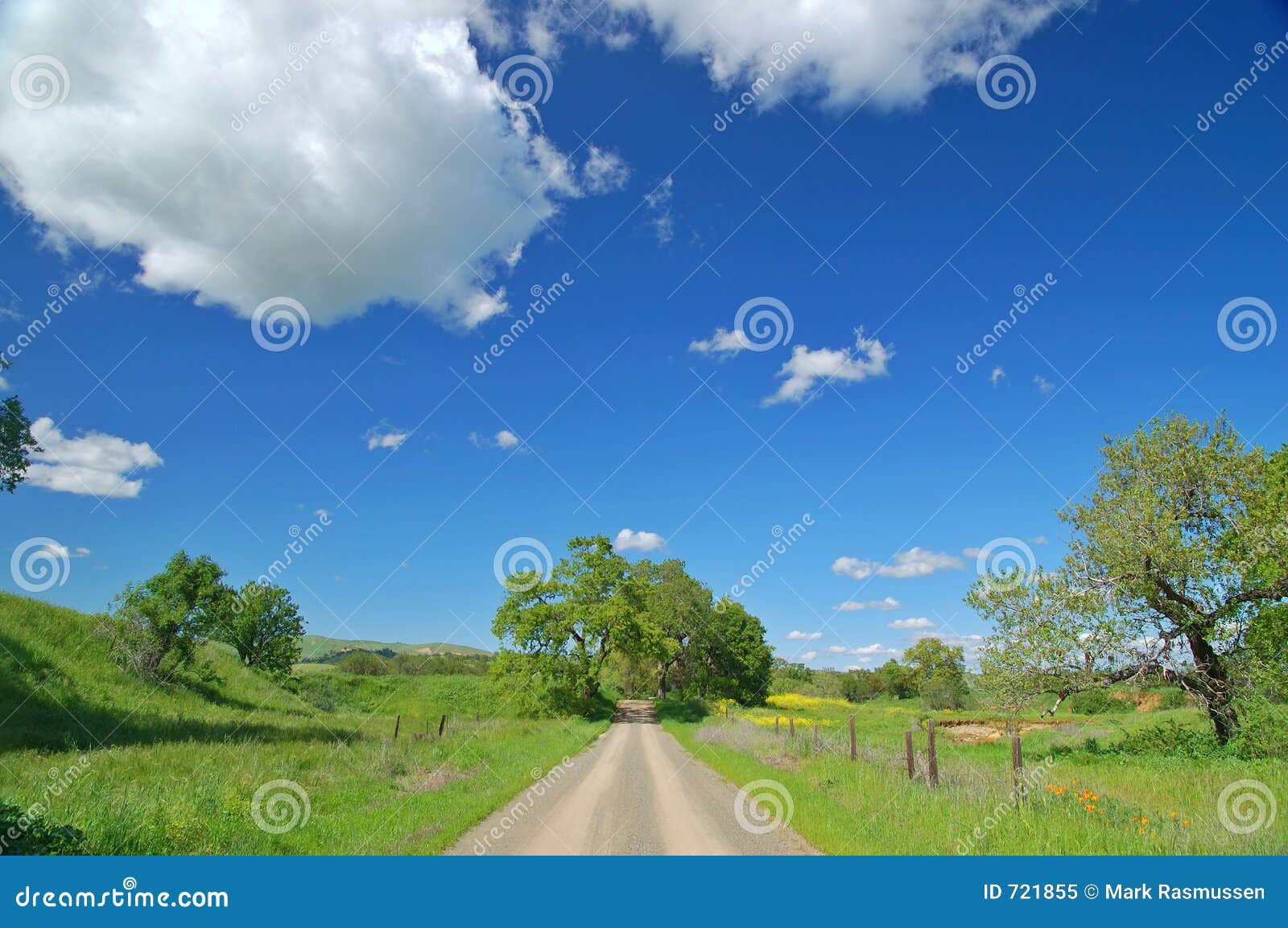 Country Road stock image. Image of blue, color, verdant - 721855
