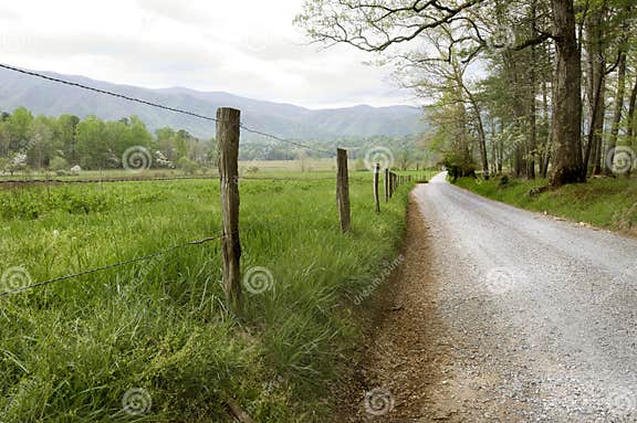 Country Road stock photo. Image of carolina, fence, land - 9682228