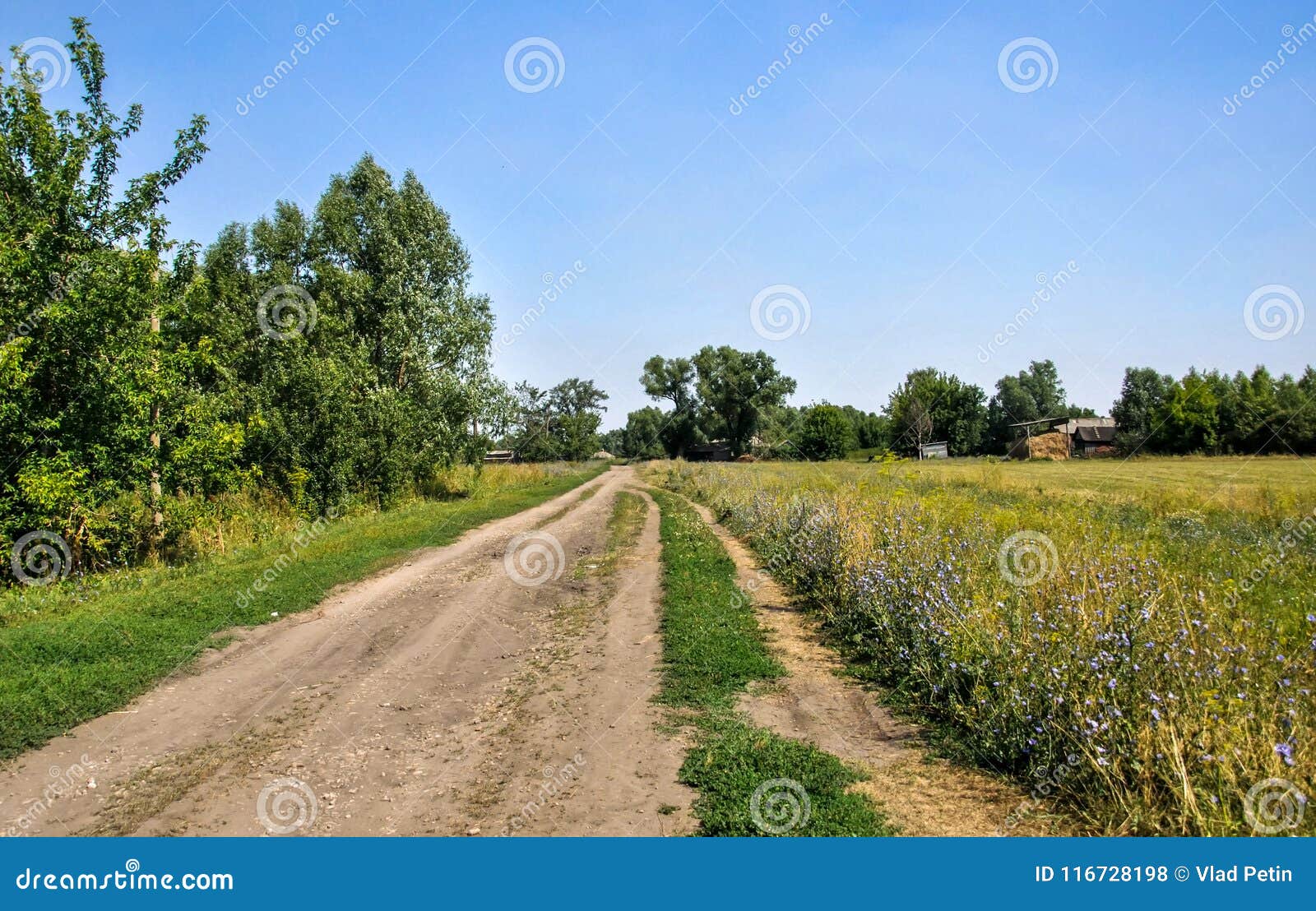 Country Road Against the Blue Sky Stock Photo - Image of agriculture ...