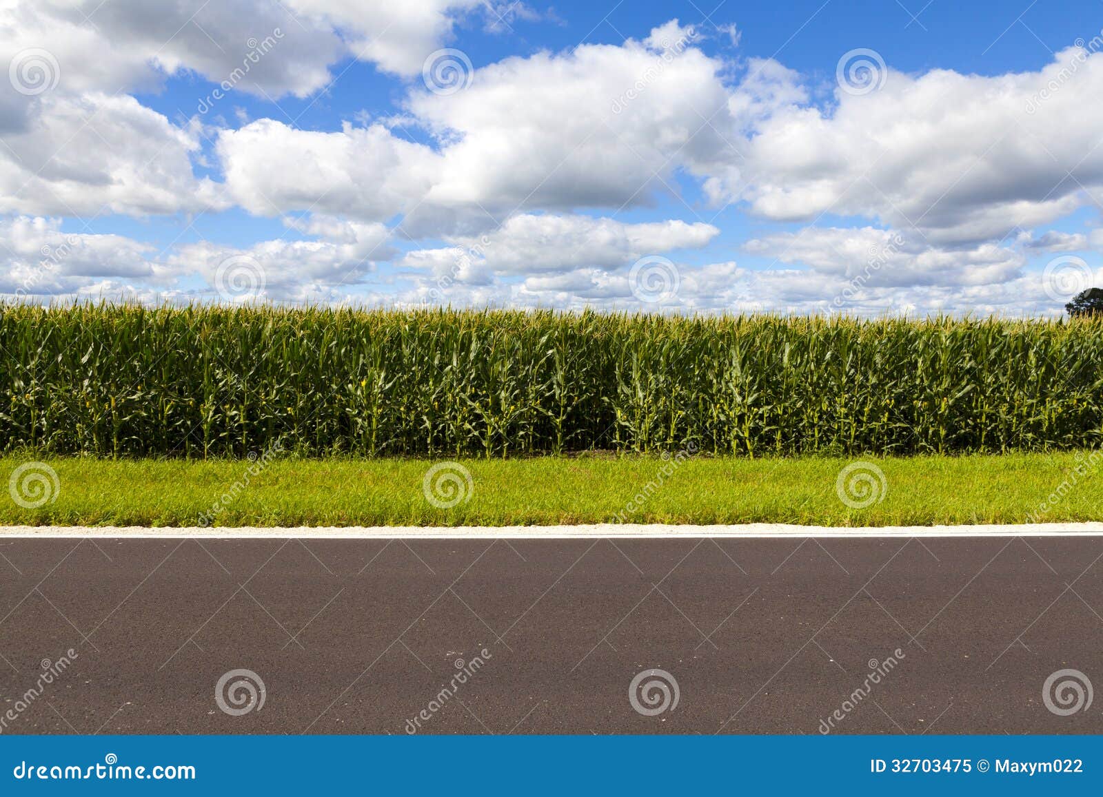 Road Side View Hd