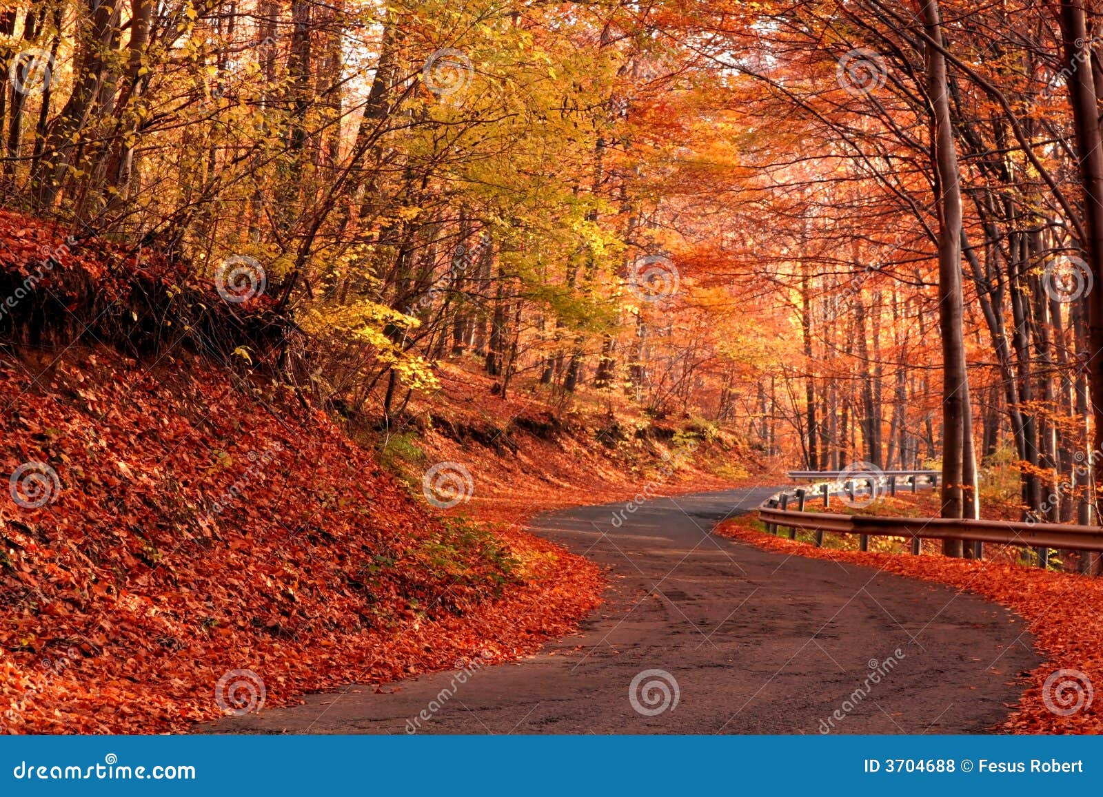 Country road in autumn stock photo. Image of outdoors - 3704688