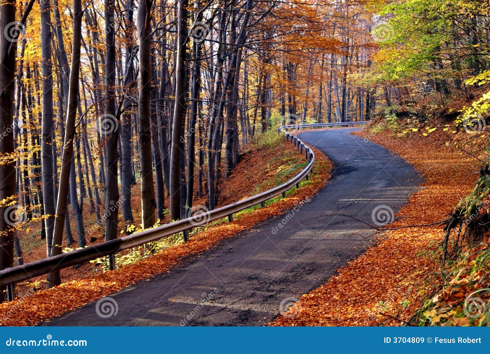 Country road in autumn stock image. Image of foliage, maple - 3704809