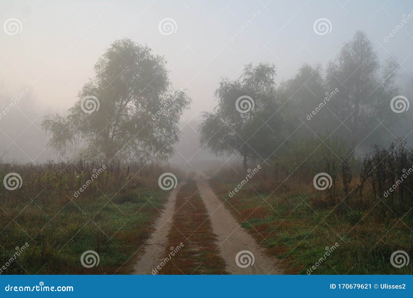Country Road in Autumn in the Mist Stock Image - Image of haze, branch ...