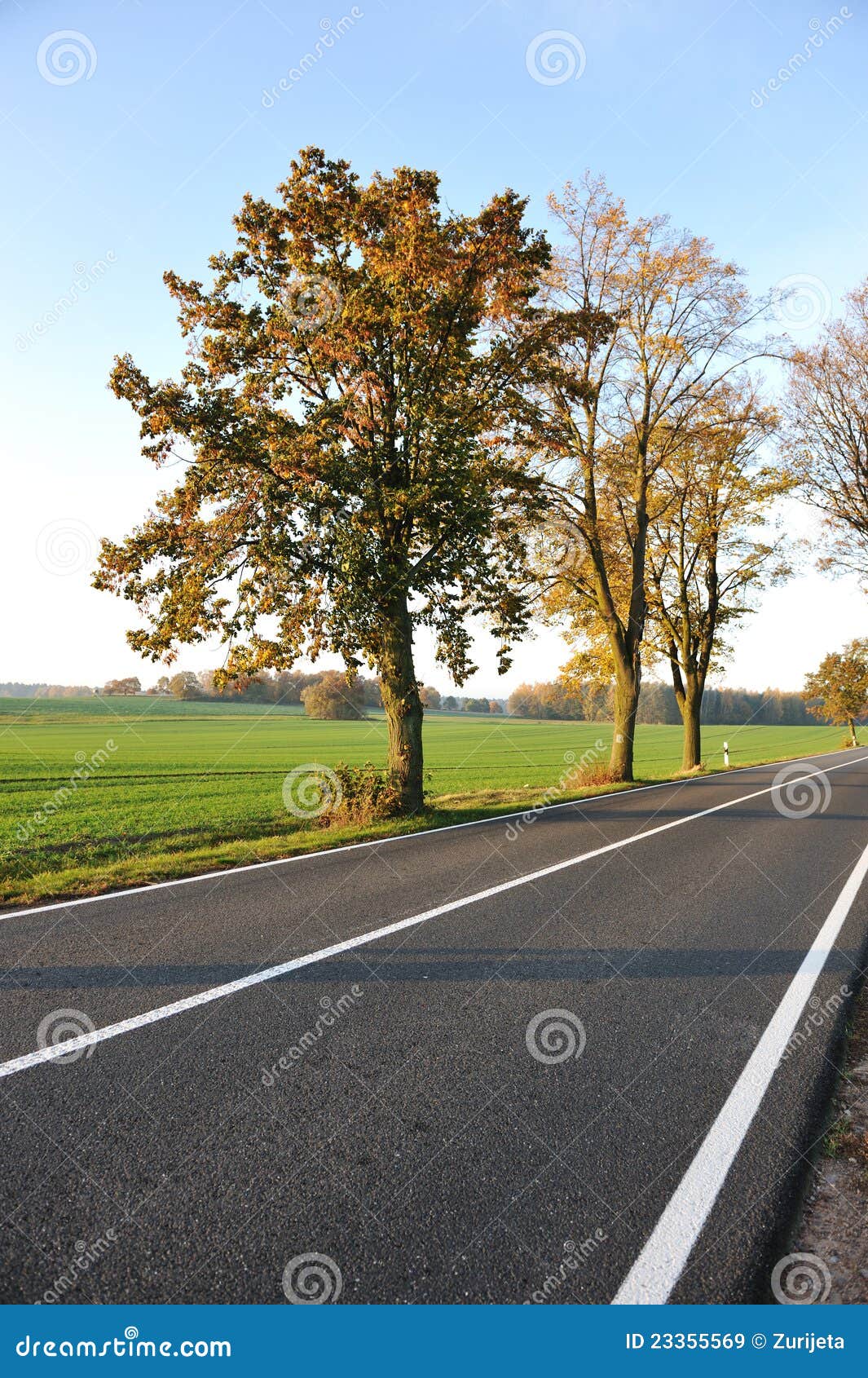 Country Road, Beautiful Scene Stock Image - Image of scenic, outdoor ...