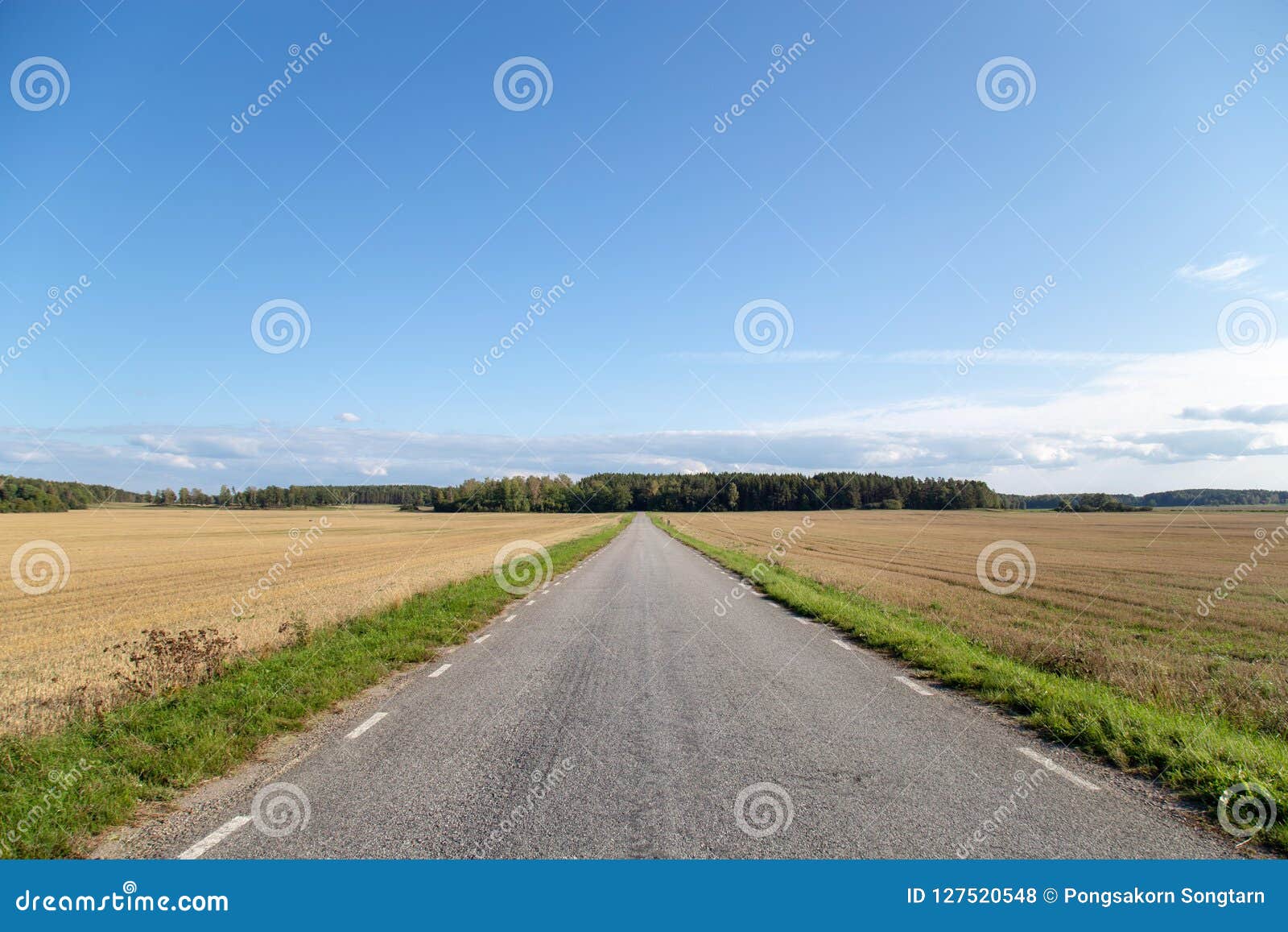 Country road,blue sky. stock photo. Image of land, countryside - 127520548