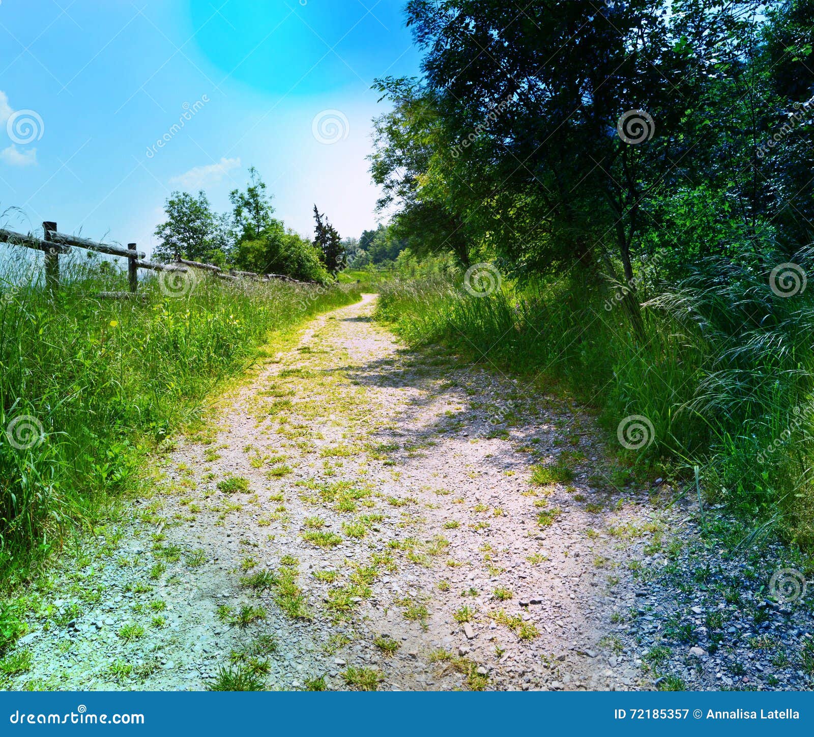 Country road with blue sky stock image. Image of evening - 72185357