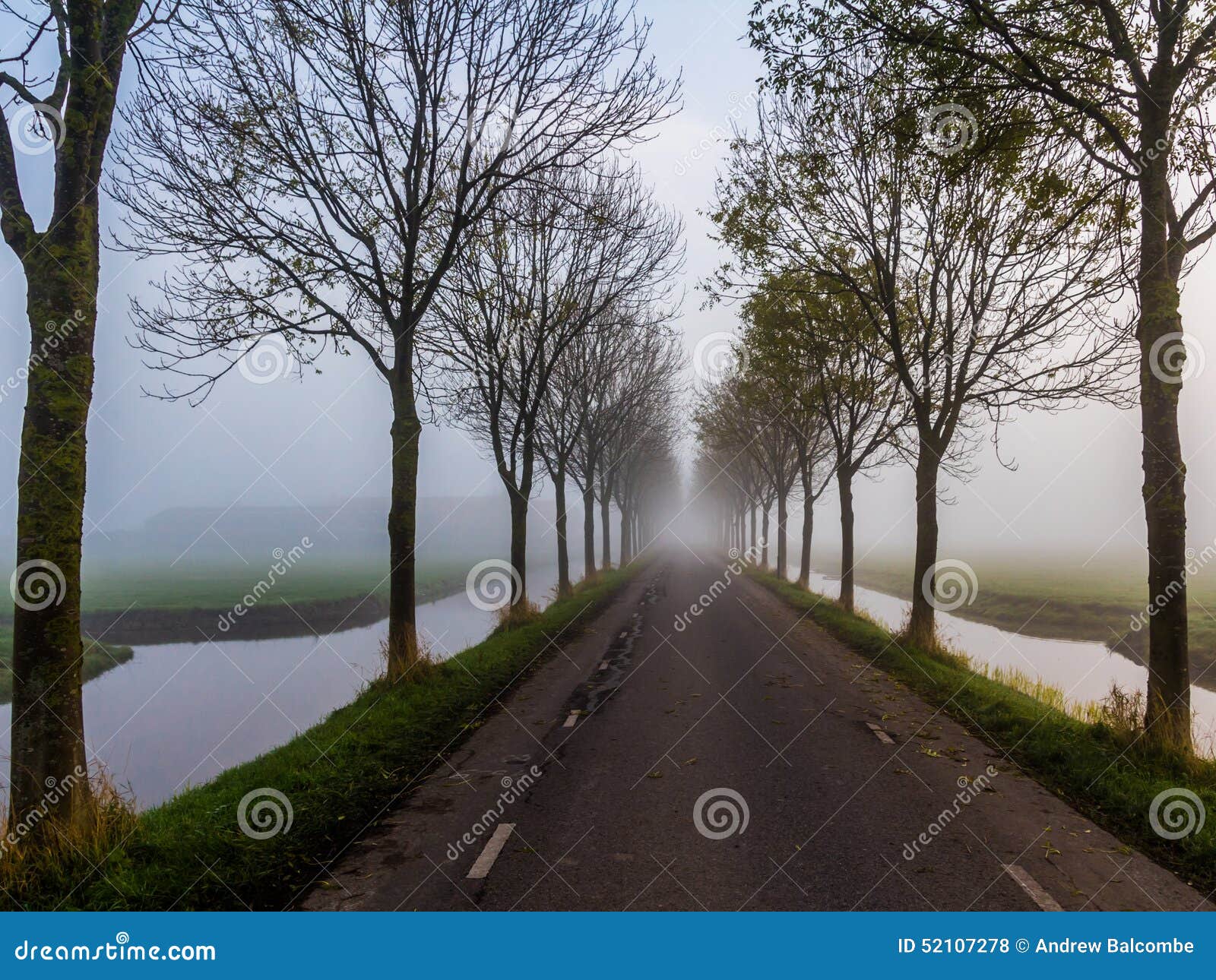 Country road on a stock photo. Image of fields, mist - 52107278