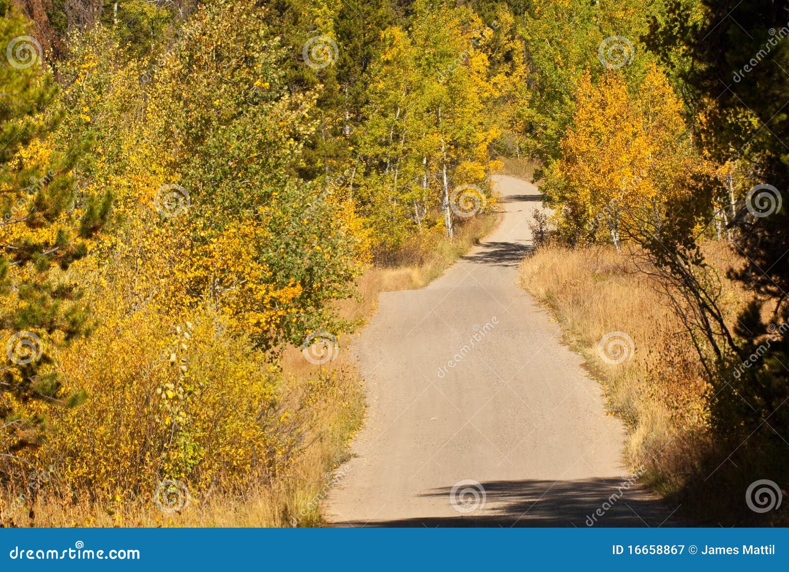 Country Road in Fall stock image. Image of autumn, solitude - 16658867