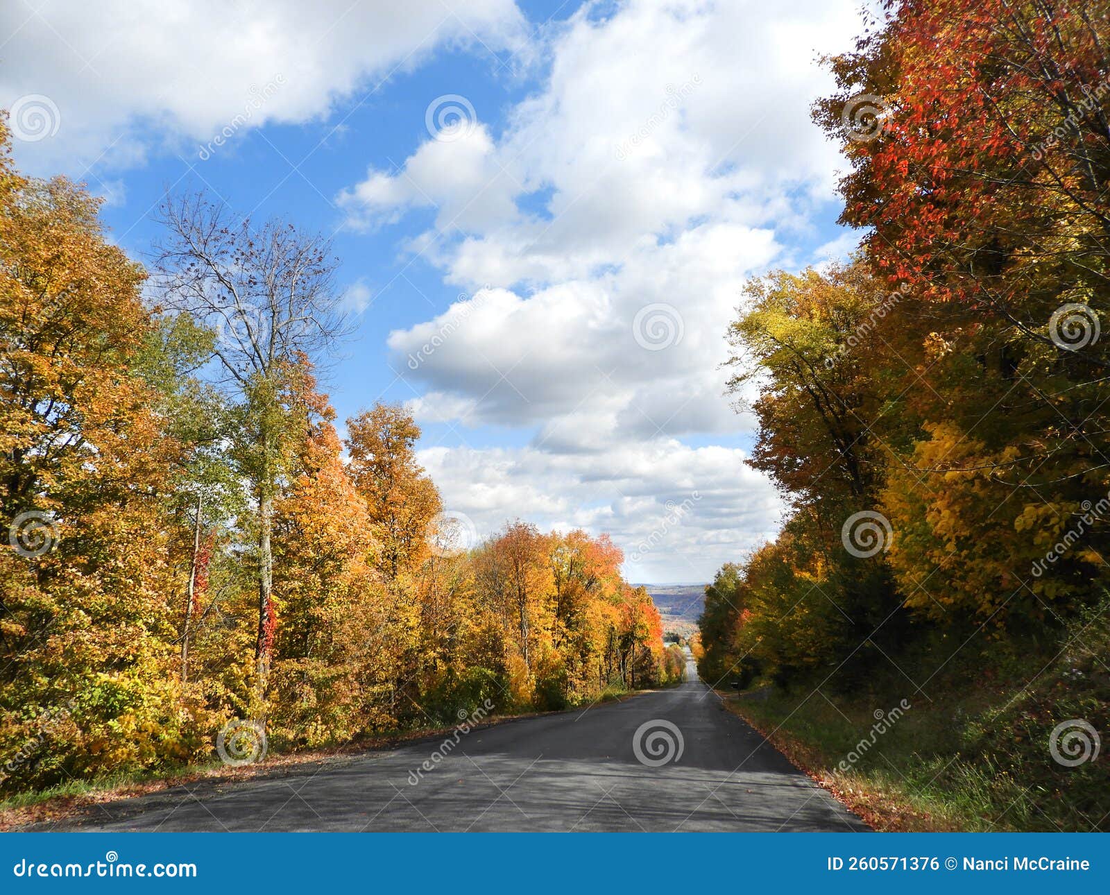 Country Road during Fall Season in the Fingerlakes of NYS Stock Photo ...