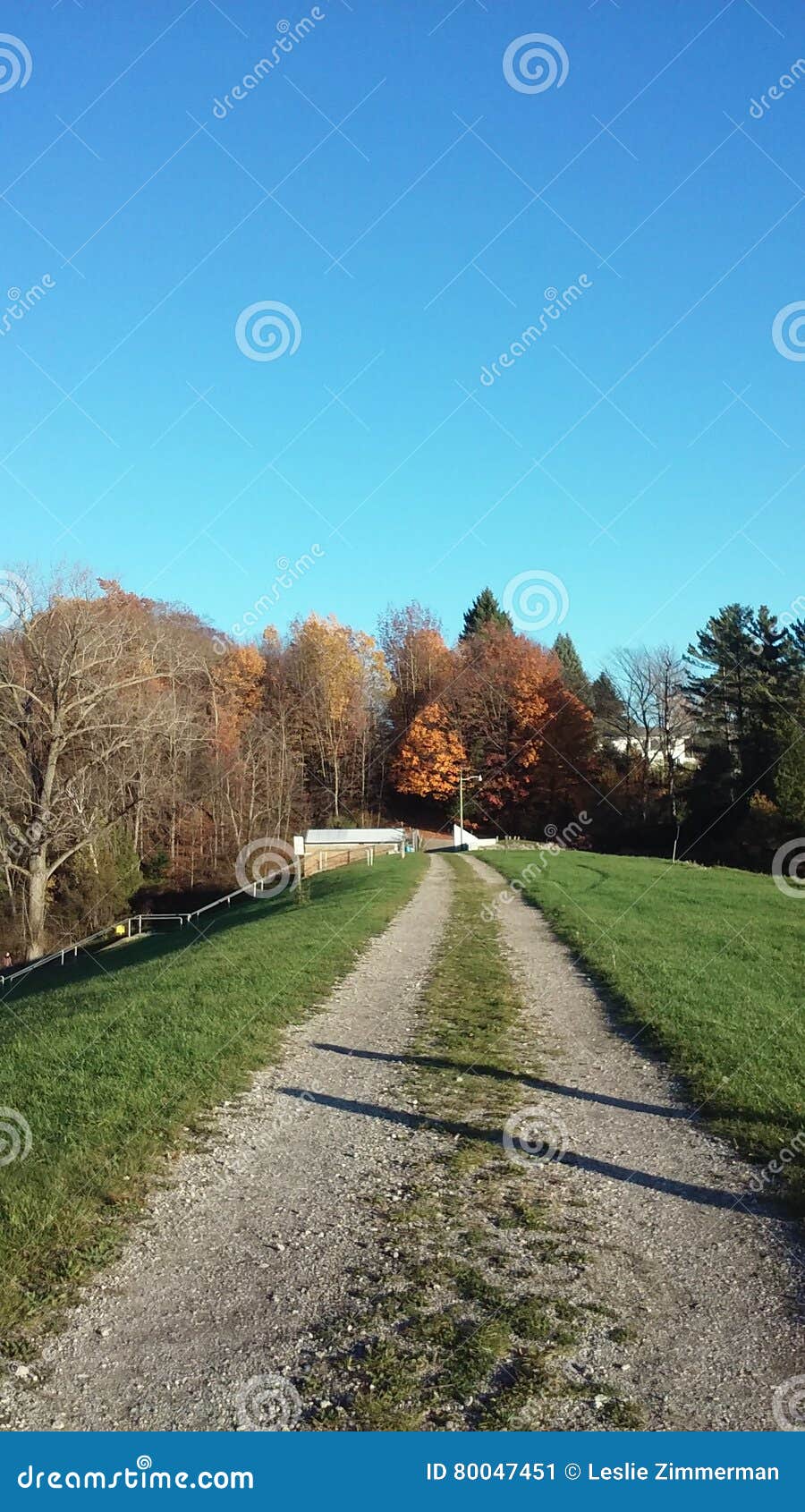 Country road stock image. Image of country, colors, road - 80047451