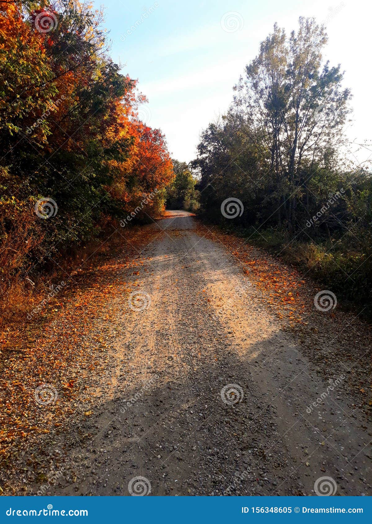Country road in fall stock image. Image of fall, covered - 156348605