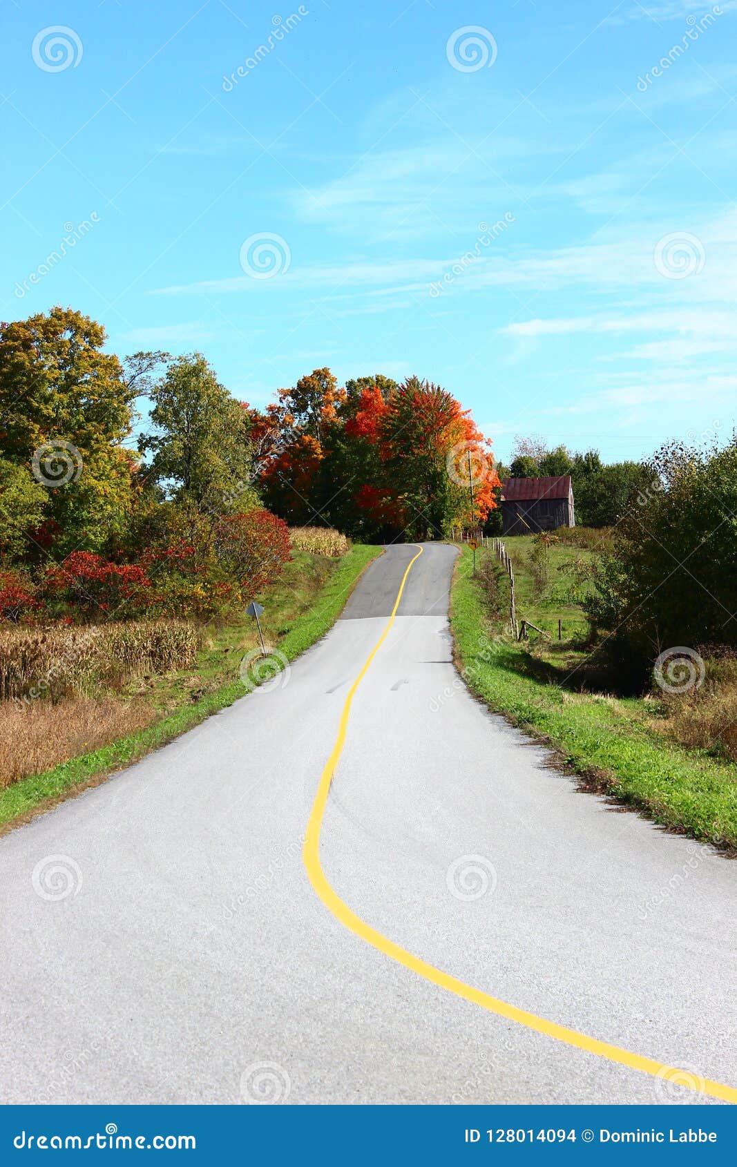 Country Road in Fall stock photo. Image of landscape - 128014094