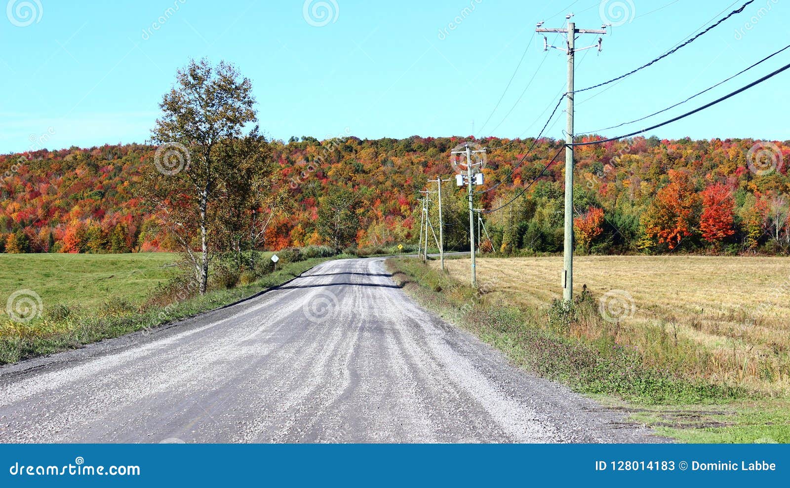 Country Road in Fall stock image. Image of landscape - 128014183
