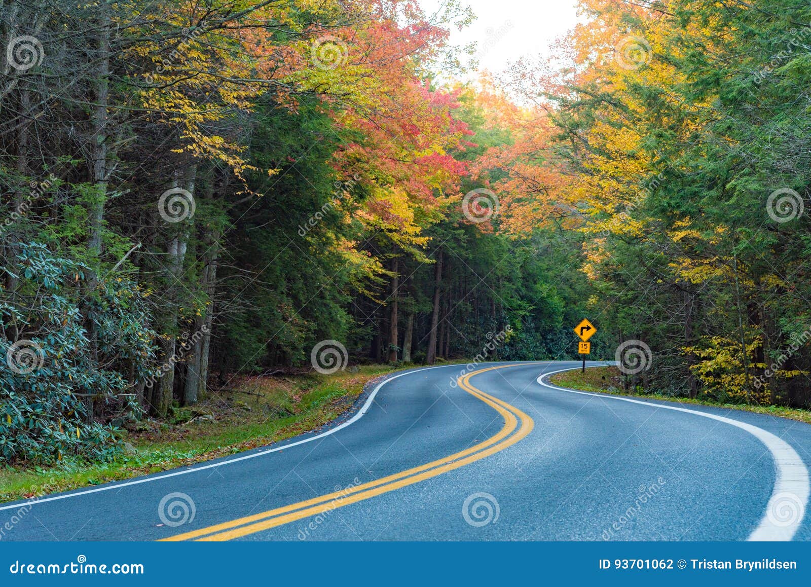 Country road in the Fall stock photo. Image of nature - 93701062