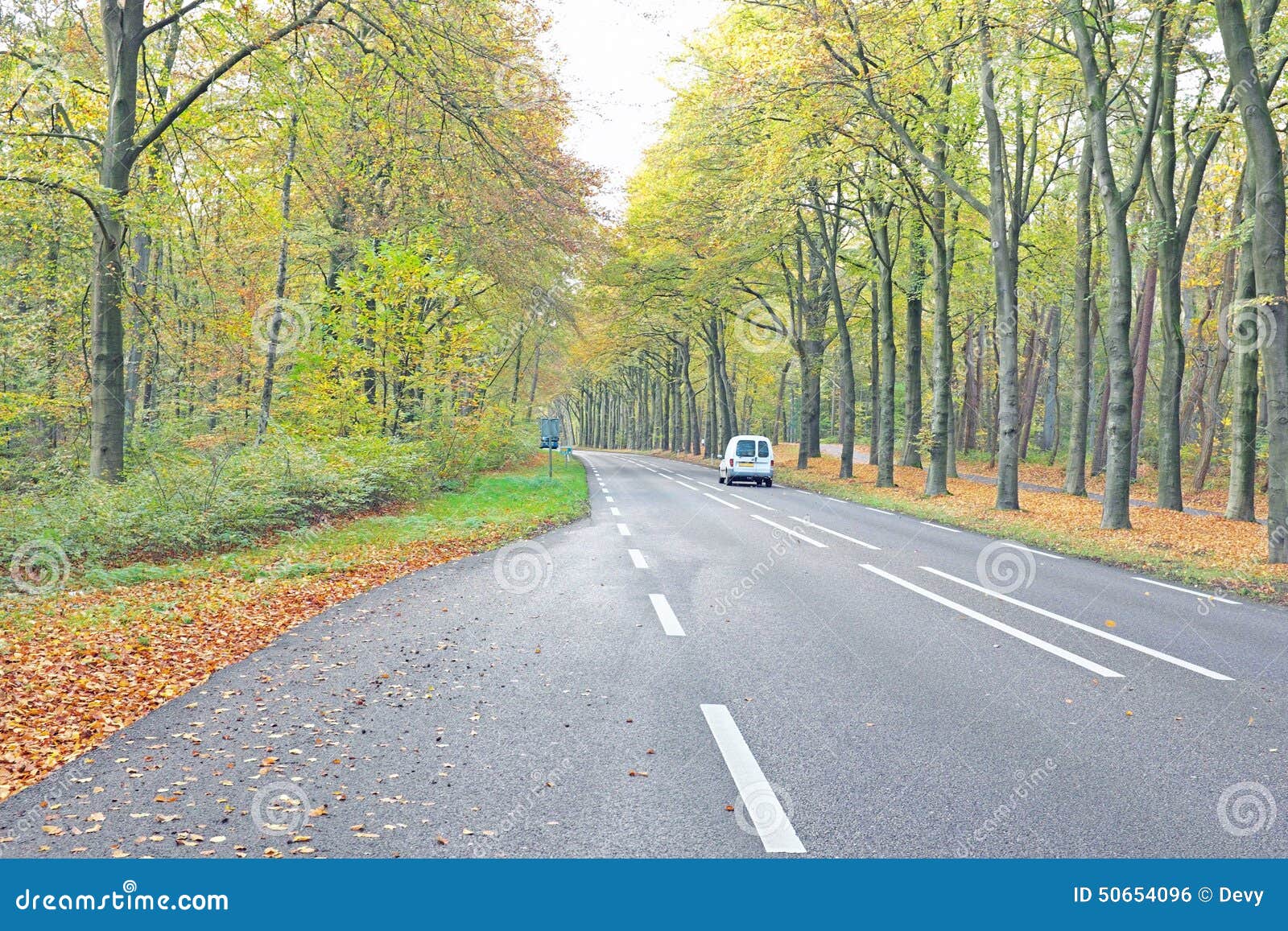 Country Road in Fall in Netherlands Stock Photo - Image of nature, fall ...