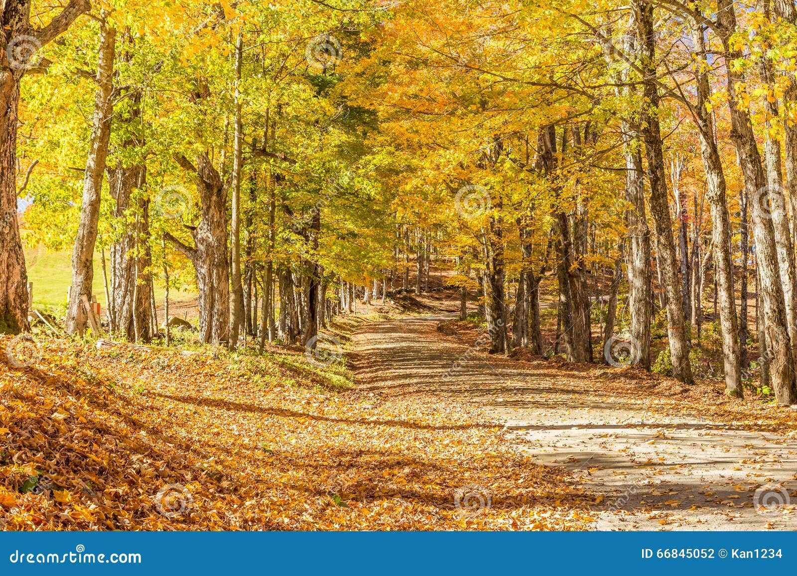 Country Road in Fall, Vermont. Stock Photo - Image of northeast ...