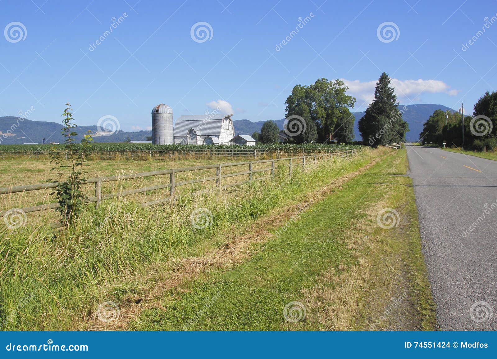 Country Road and Farm stock photo. Image of lane, established - 74551424