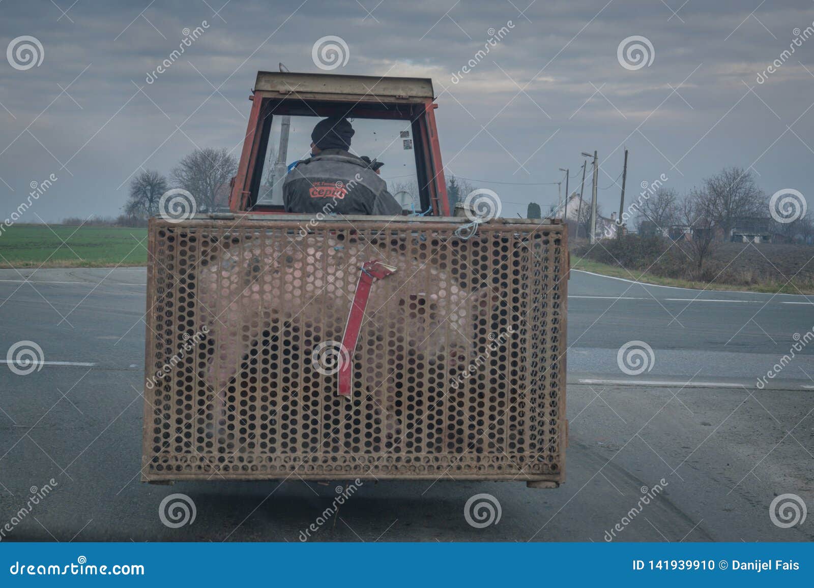 On a Country Road Farmer Transporting Pig in Tractor Editorial Image ...