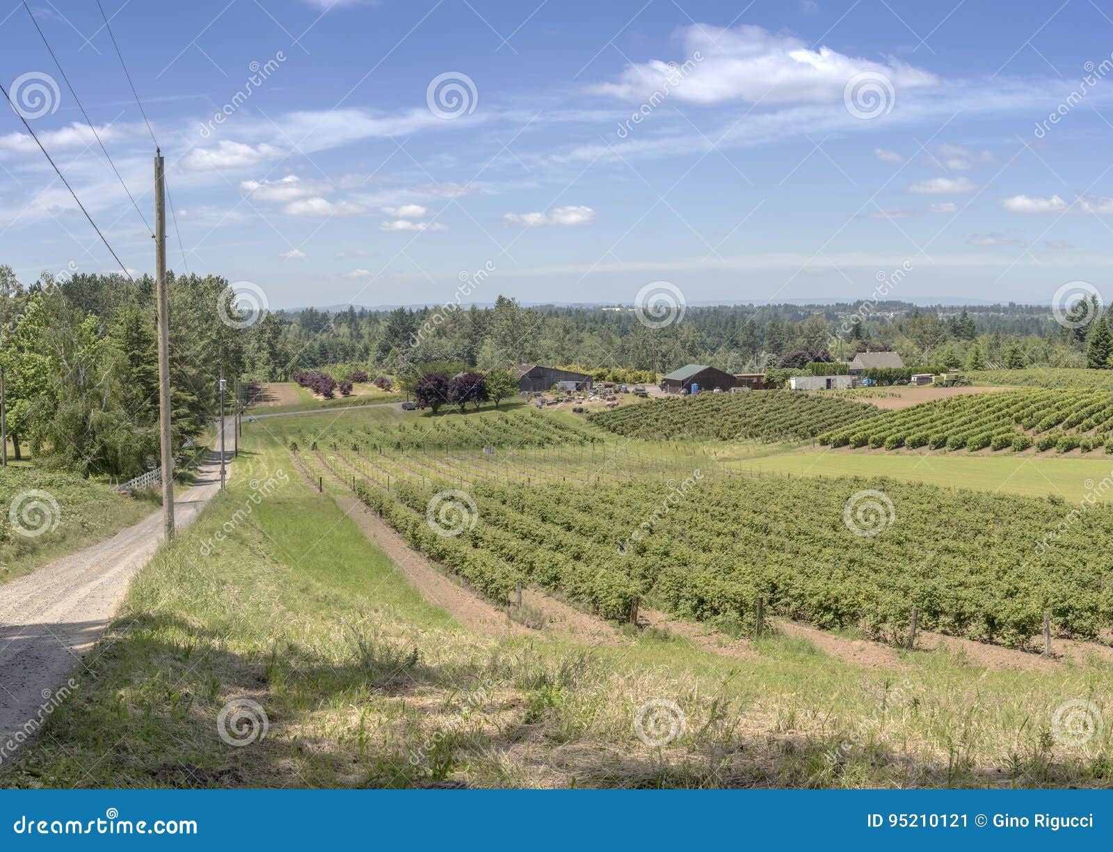 Country Road and Farms Oregon State. Stock Image - Image of scttered ...