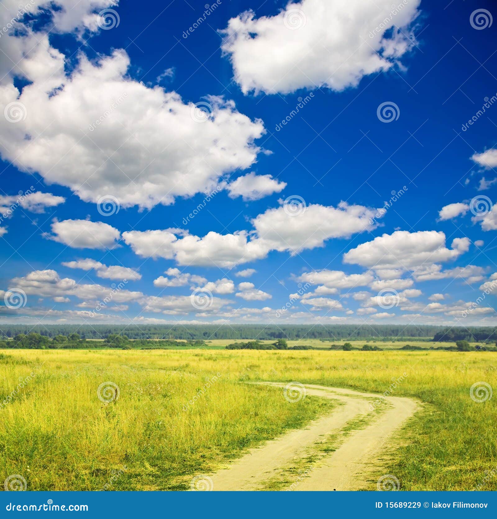 Country road through field stock image. Image of bright - 15689229