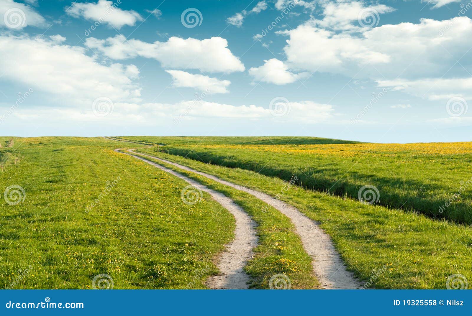 Country road through field stock photo. Image of bright - 19325558