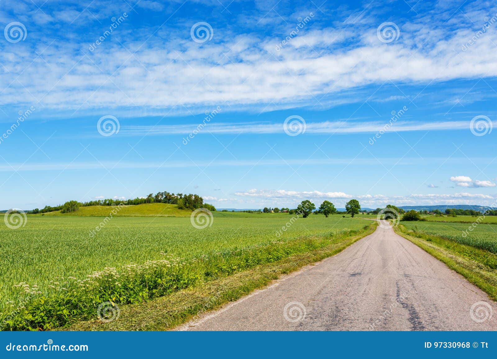 Country road at a field stock photo. Image of hill, crops - 97330968
