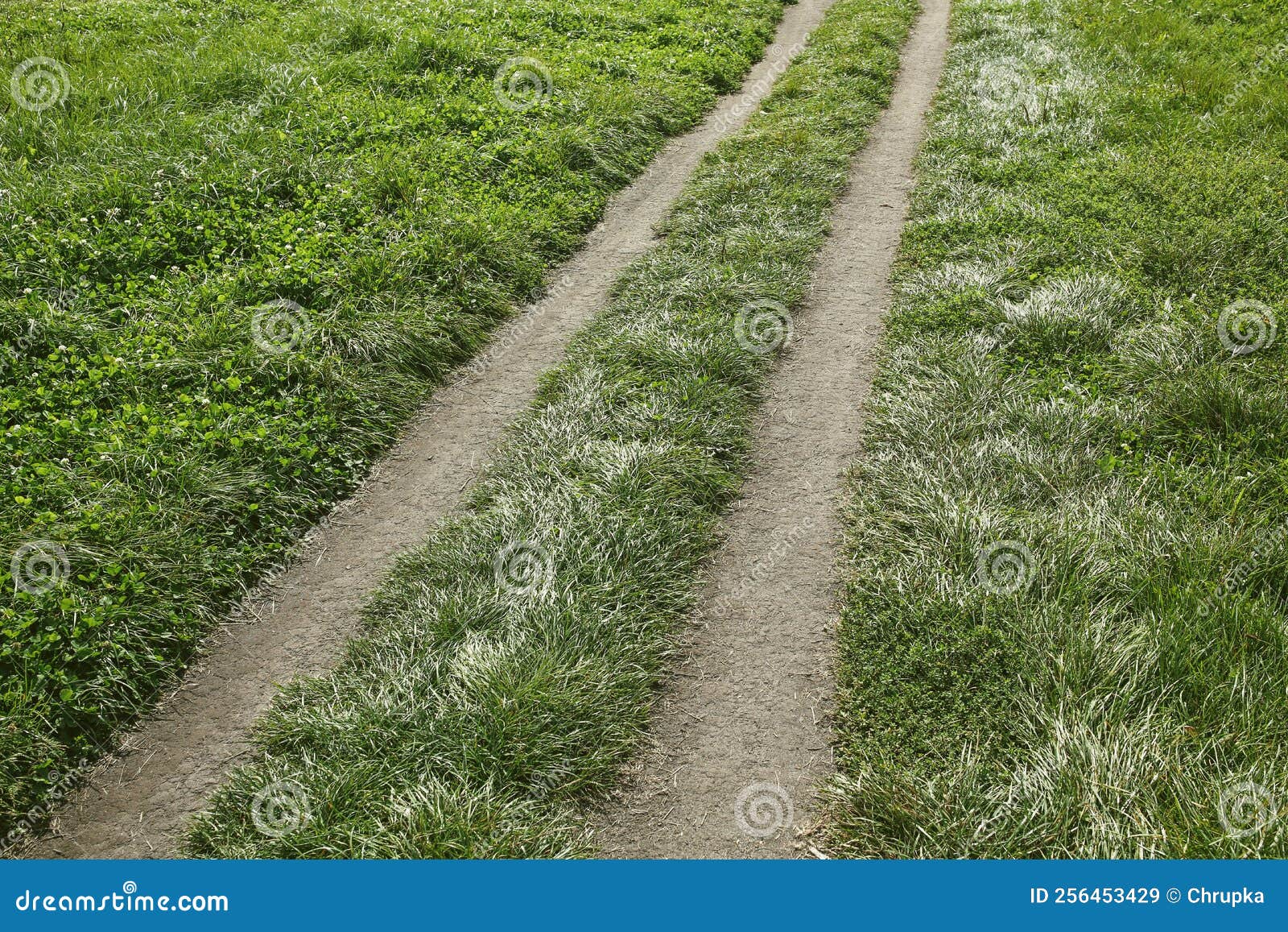 Road in the Field of Green Grass Stock Image - Image of countryside ...