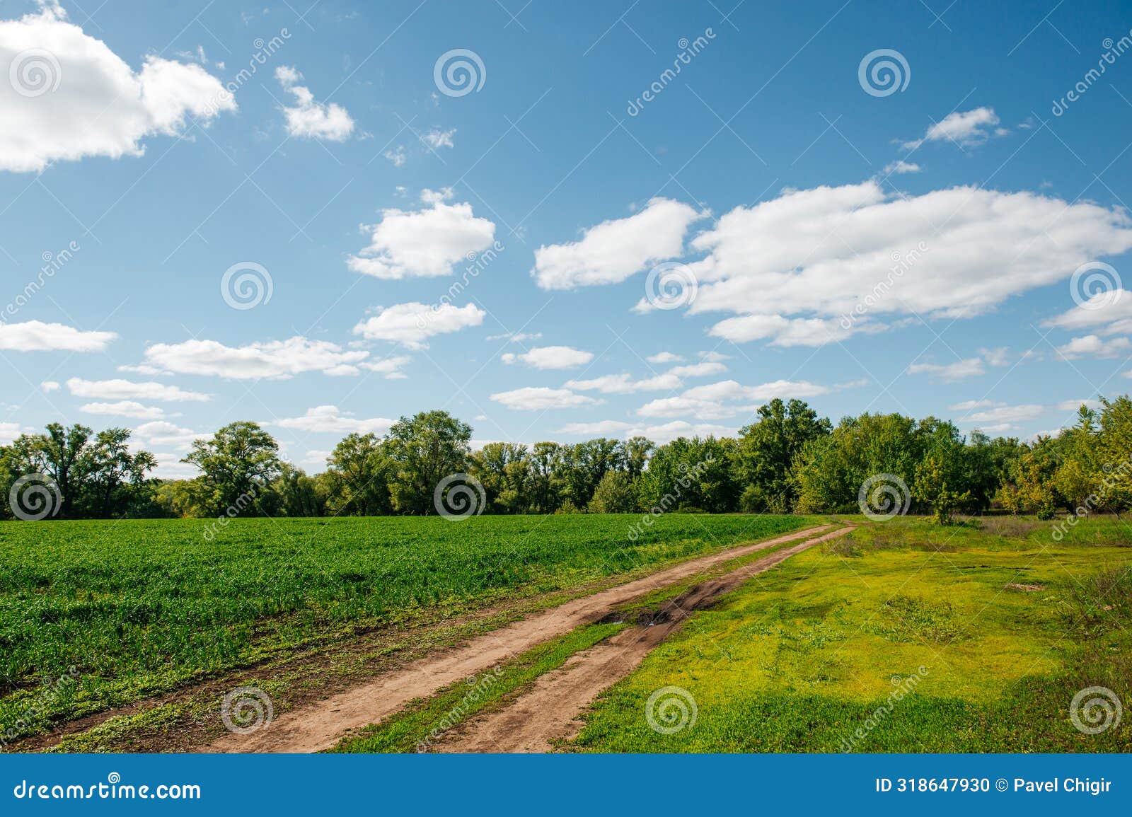 A Country Road in a Field of Green Grass at Sunset Stock Photo - Image ...