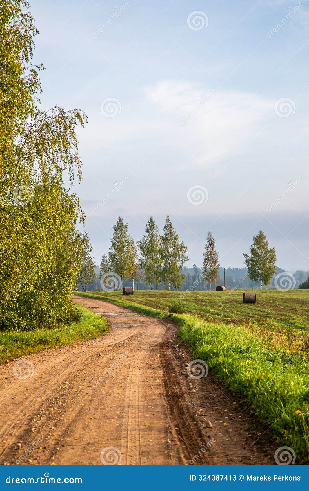 Country Road through the Field with Packed Hay Stock Image - Image of ...