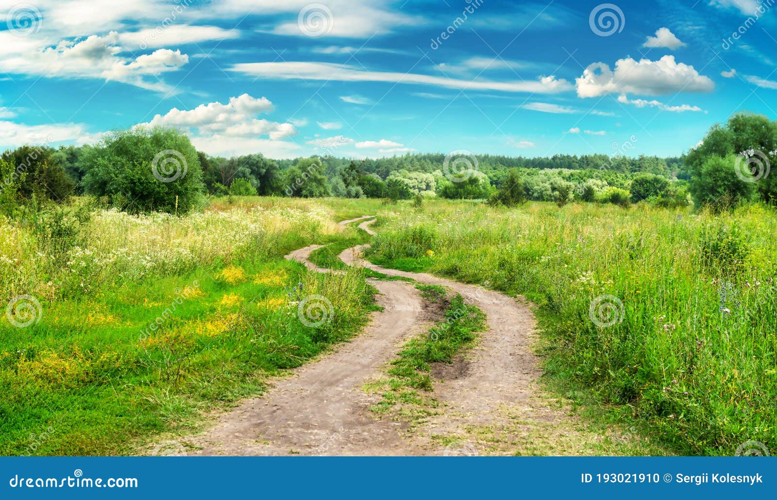 Country road in field stock photo. Image of freedom - 193021910