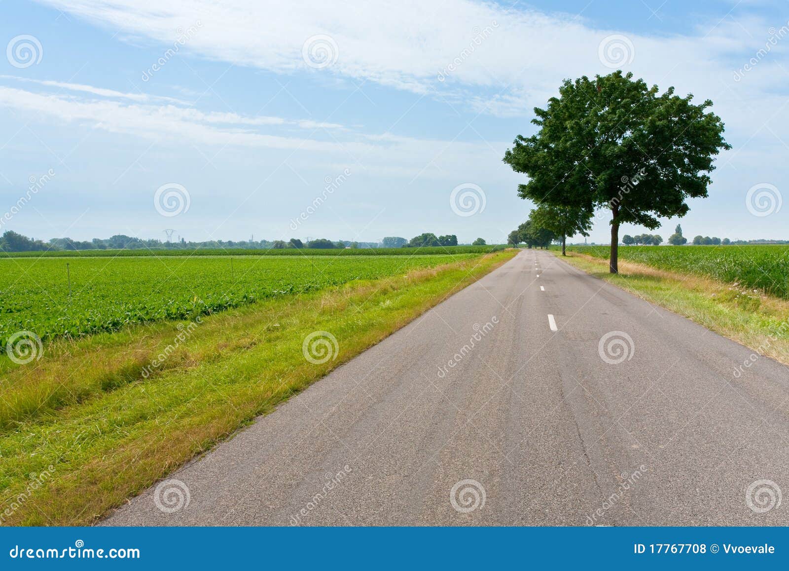Country road in fields stock photo. Image of line, scene - 17767708