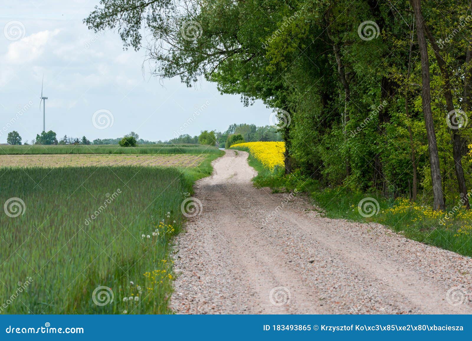 Country Road between the Fields Stock Image - Image of country, fields ...
