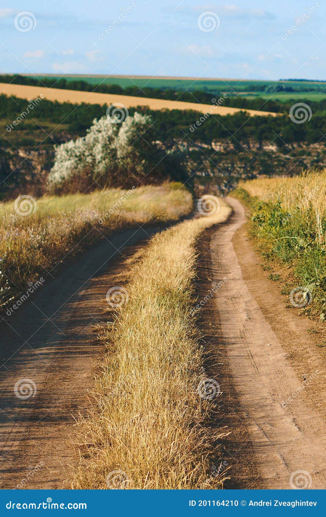 Country road in fields stock photo. Image of farm, road - 201164210