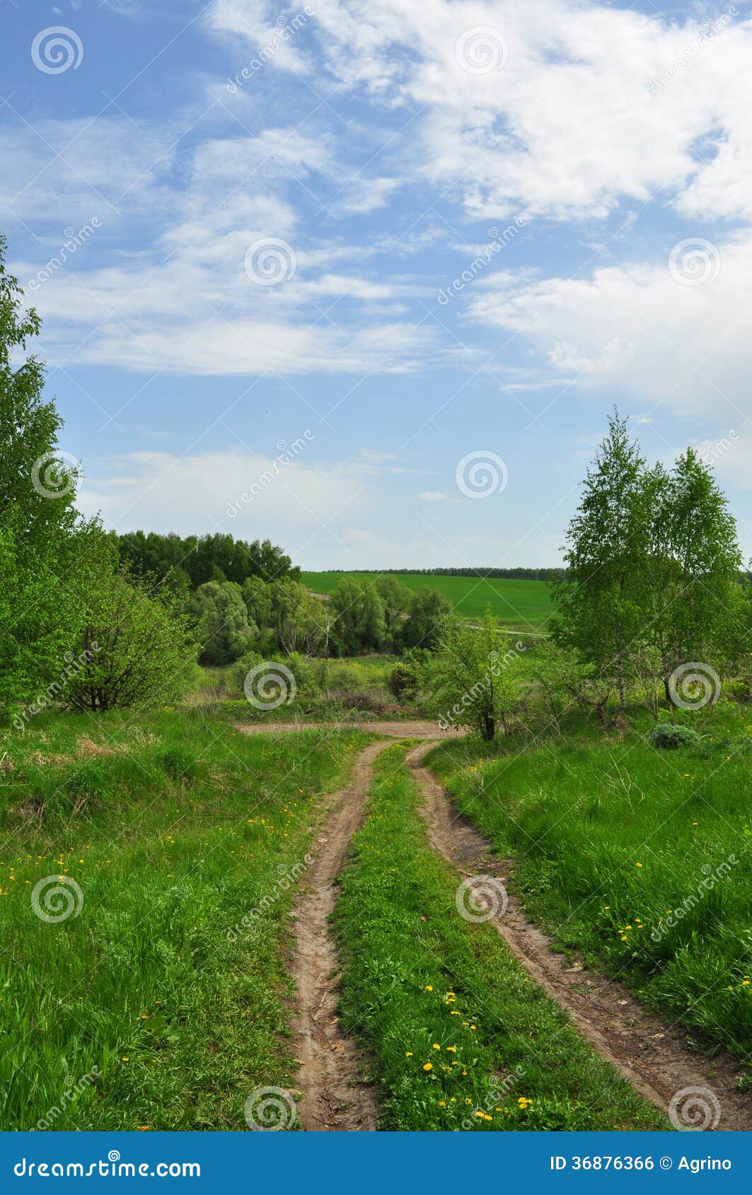 Country Road stock photo. Image of road, country, field - 36876366
